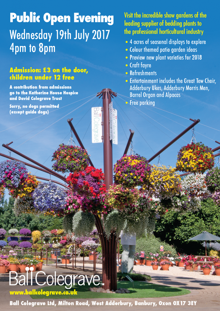 Open Evening at Ball Colegrave Gardens | Avon Dassett